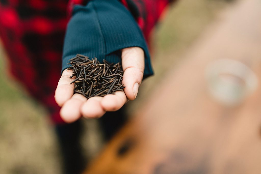 Where to eat Indigenous Food in Ontario | Ontario Culinary